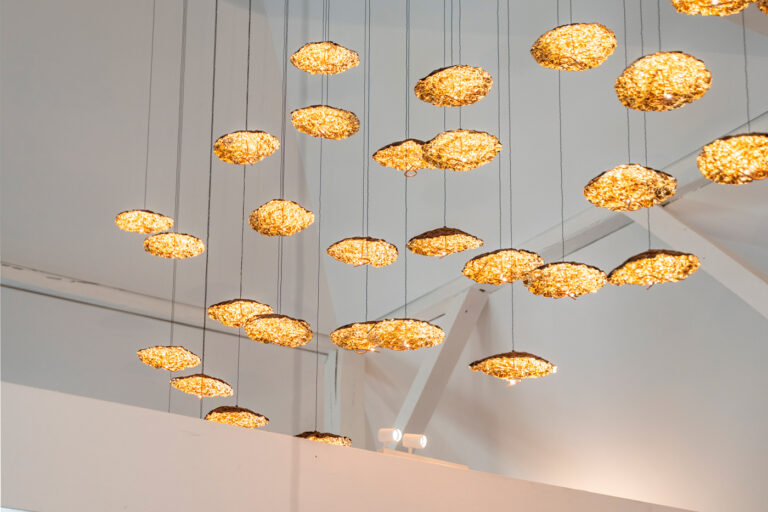 Our Projects - Catellani&Smith