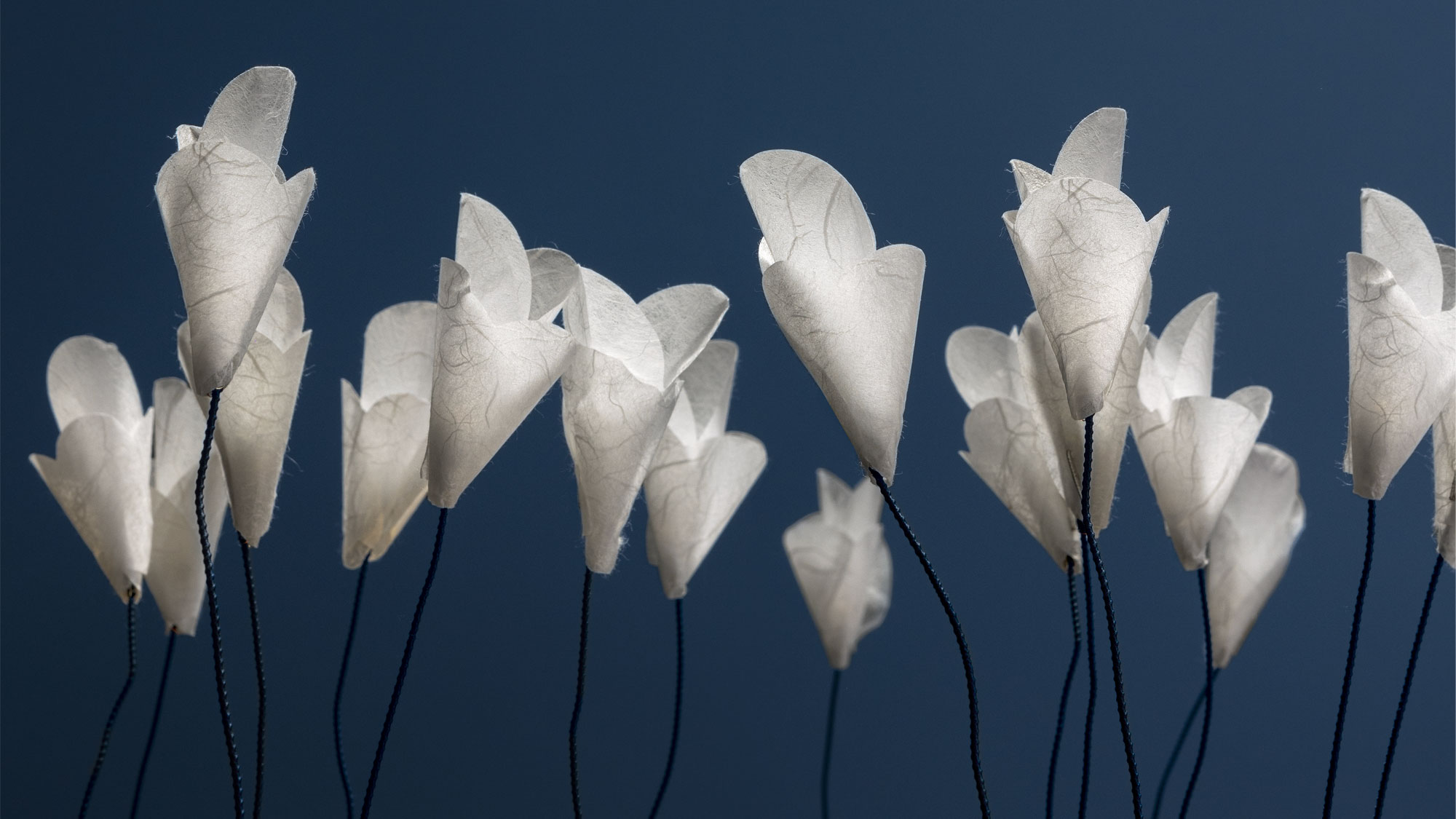 Catalogo 2023-2024 - Catellani & Smith